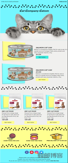 强烈推荐6款EDM邮件模板，专业高级提升品牌形象 - 邮件发送API接口|AokSend